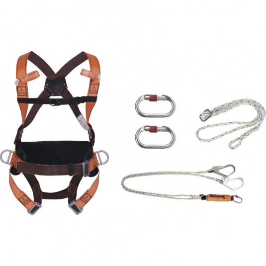 Delta Plus Positioning and Arrest Harness - Workwear.co.uk